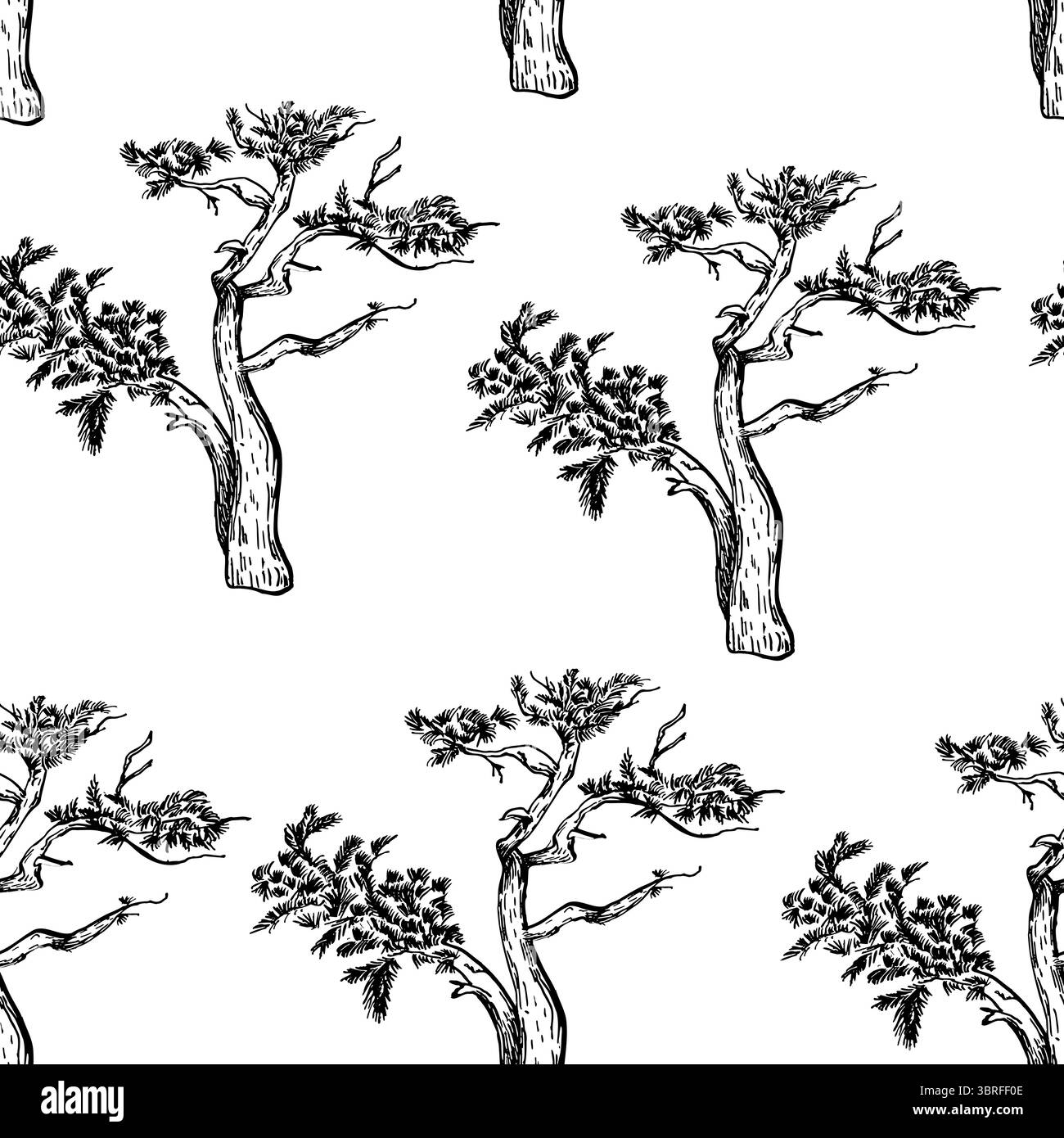 Black branches trees in Cut Out Stock Images & Pictures - Alamy