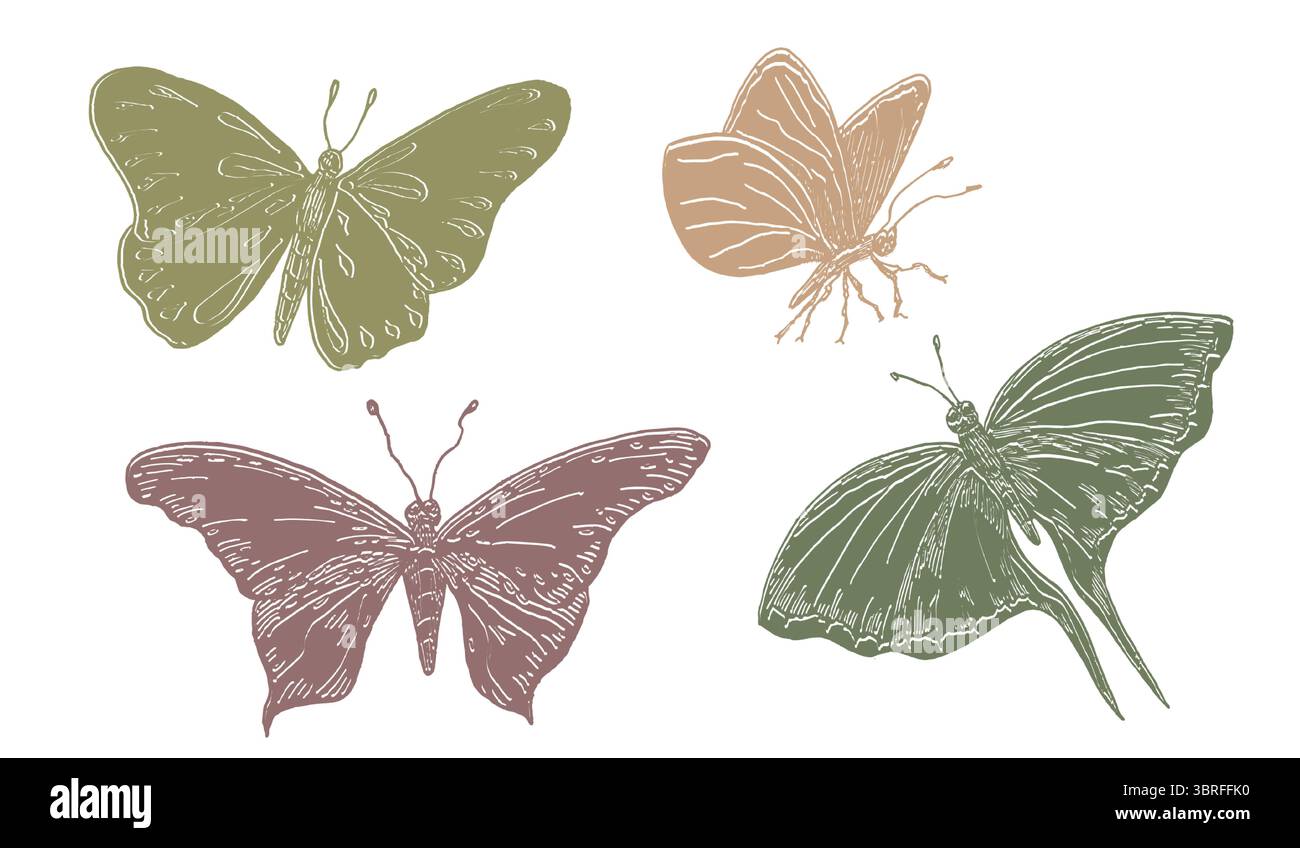 Butterfly Silhouette vector clipart hand drawn. Butterfly outlines set ...