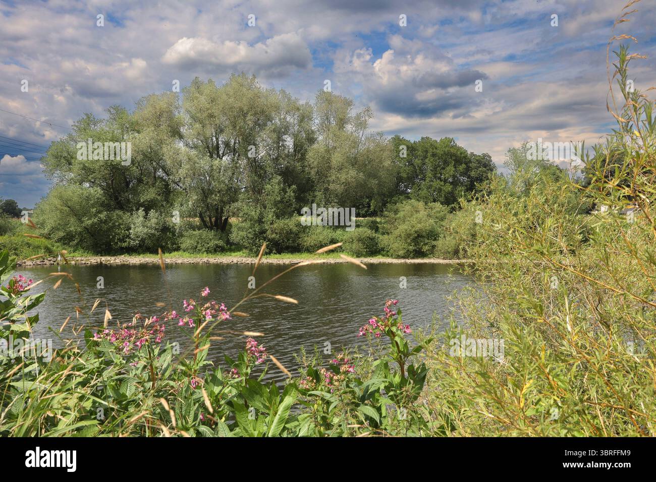 Natur und Ballungsräume Die Ruhr und die Auenlandschaft im sommerlichen ...
