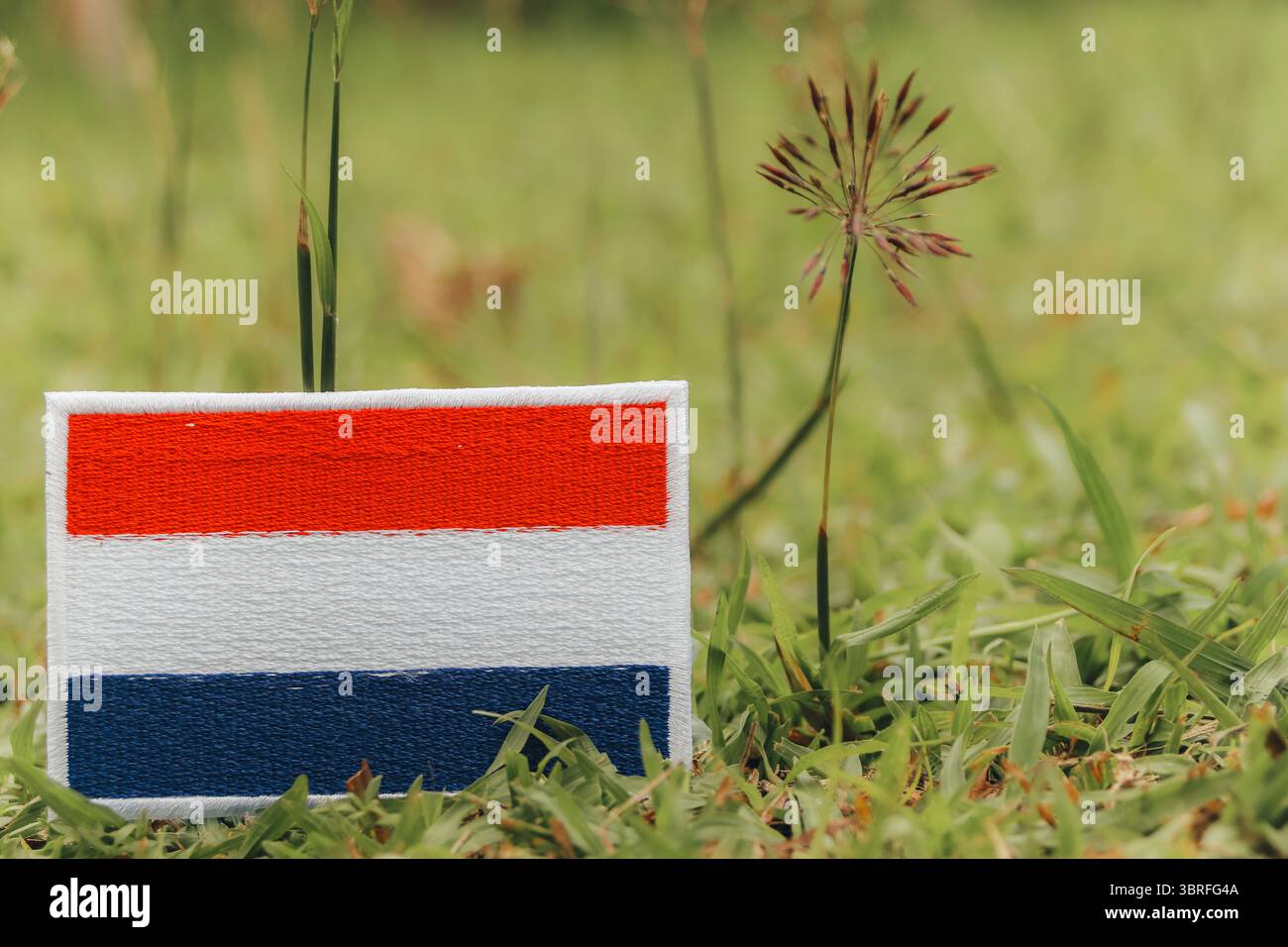 Eco friendly Netherlands flag crafted from thread and fabric on fresh grass. Green concept ...