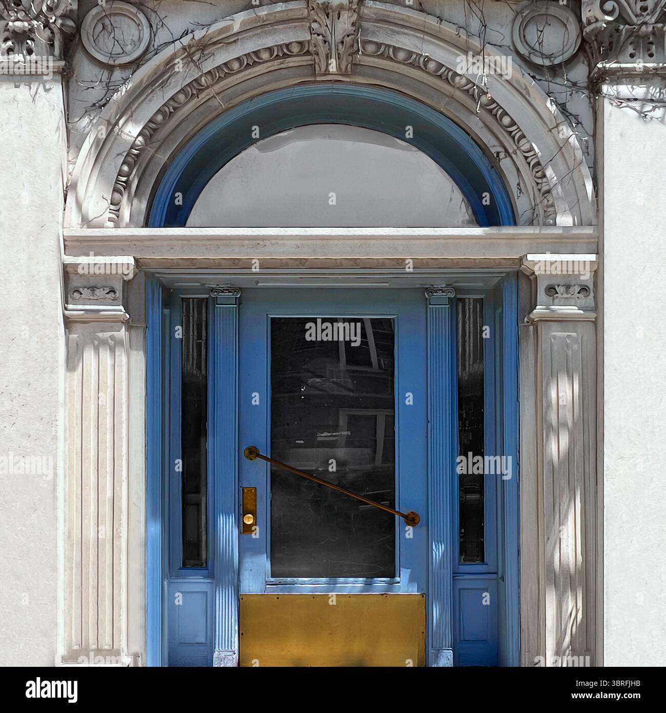 Elegant light blue door with gold details framed by ornate arch and ...