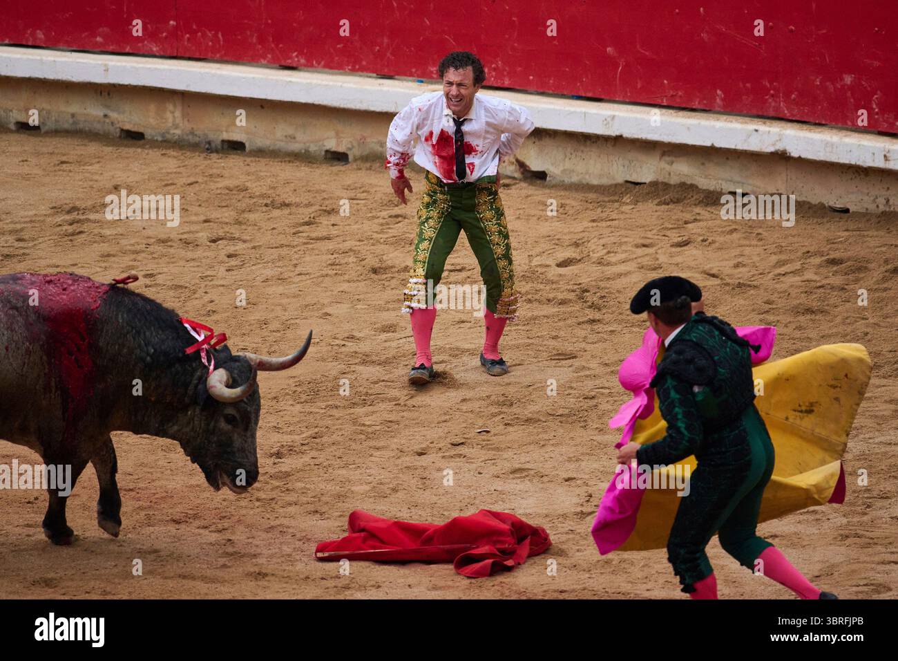 Spanish bullfighter Rafaelillo grimaces in pain after being gored by a ...