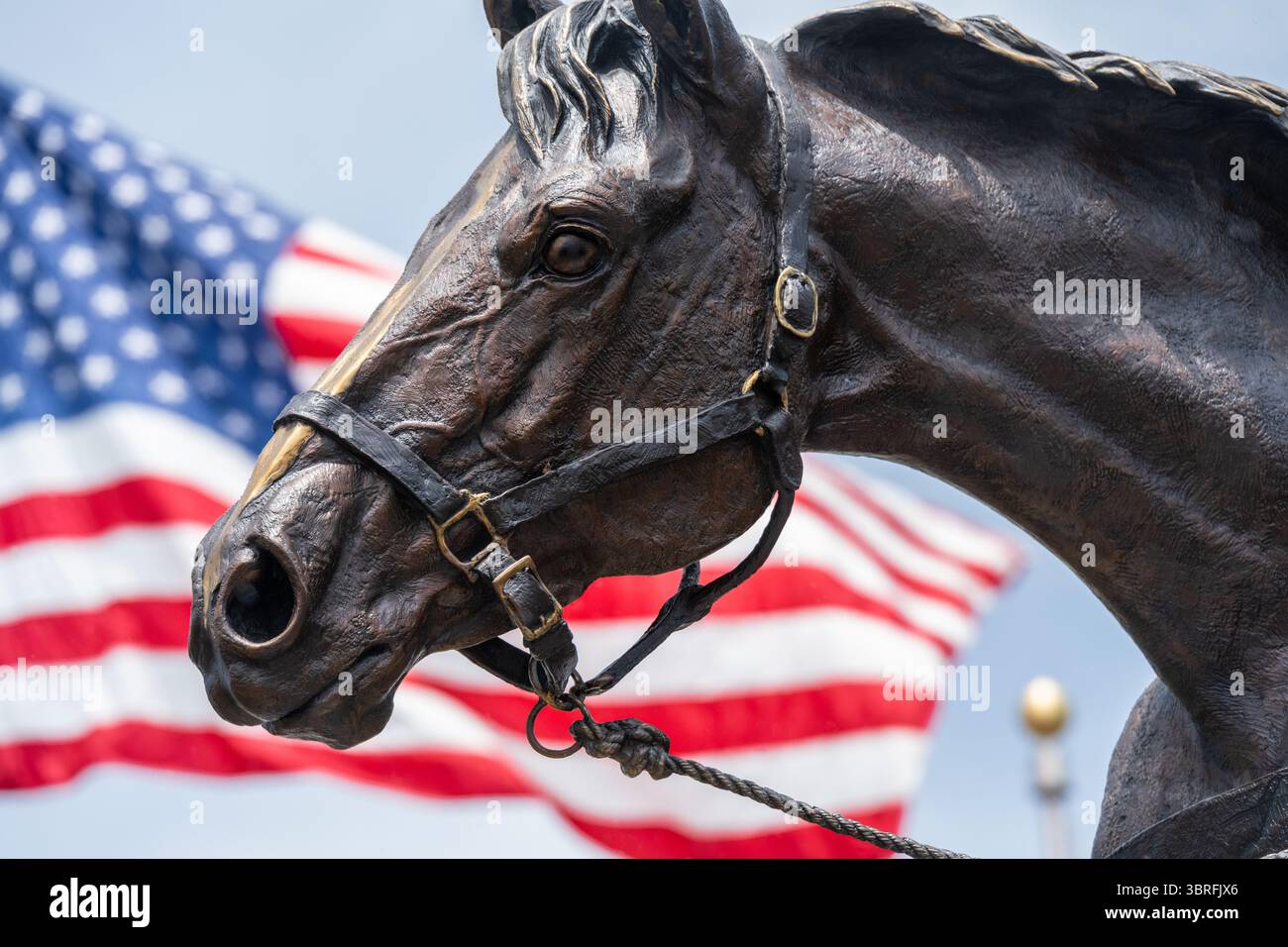 Bronze statue of Korean War US Marine Corps warhorse Staff Sergeant ...