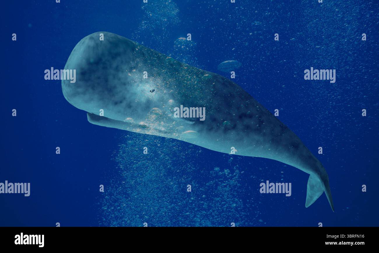 Illustration of a sperm whale amidst bubbles on the seabed Stock Photo ...