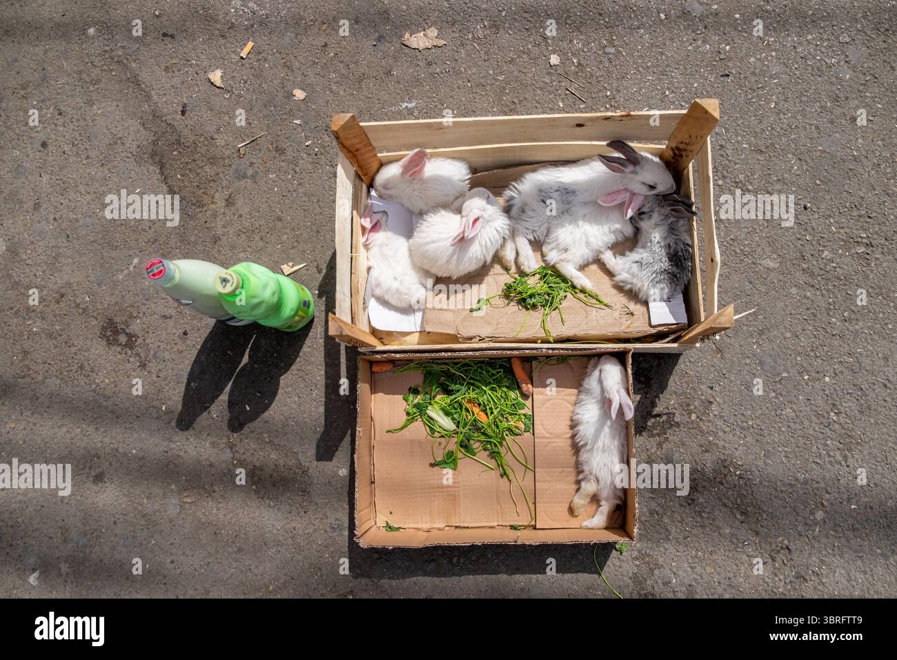Cardboard boxes kept in hi-res stock photography and images - Alamy