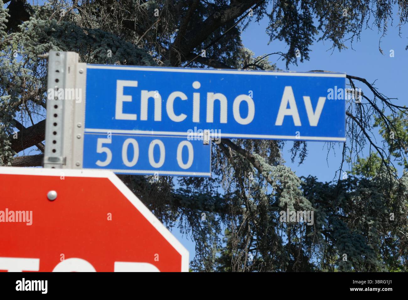 Encino, California, USA 11th July 2025 Saturday Night Live Comedian ...