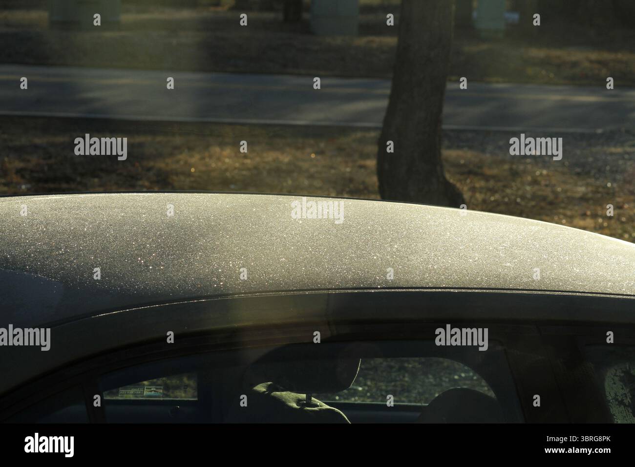 Frost on a vehicle's roof Stock Photo - Alamy