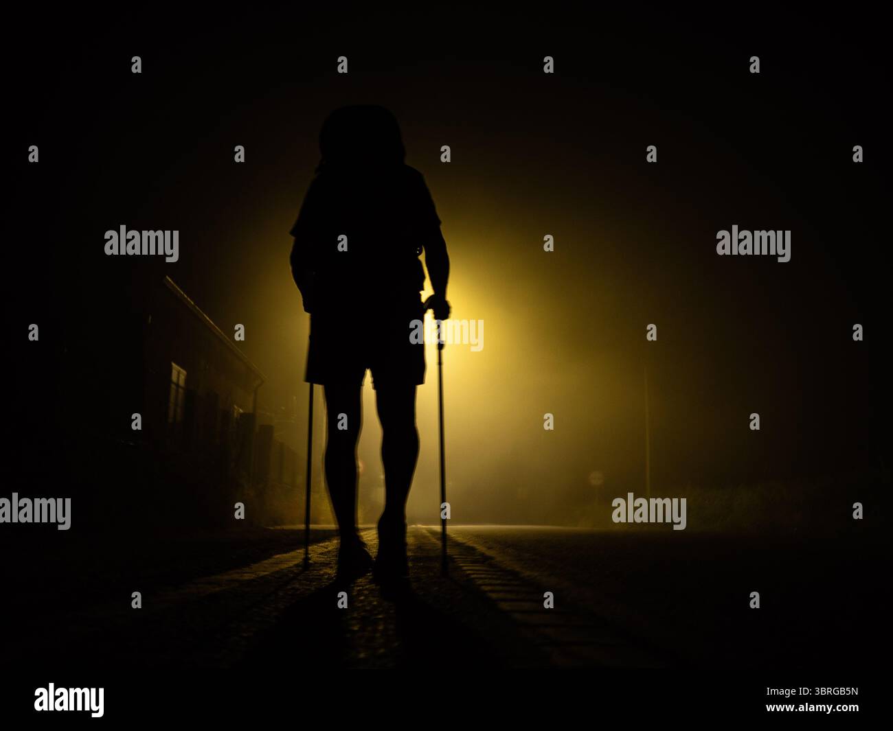 A view of a pilgrim walking before sunrise. After reaching the ...