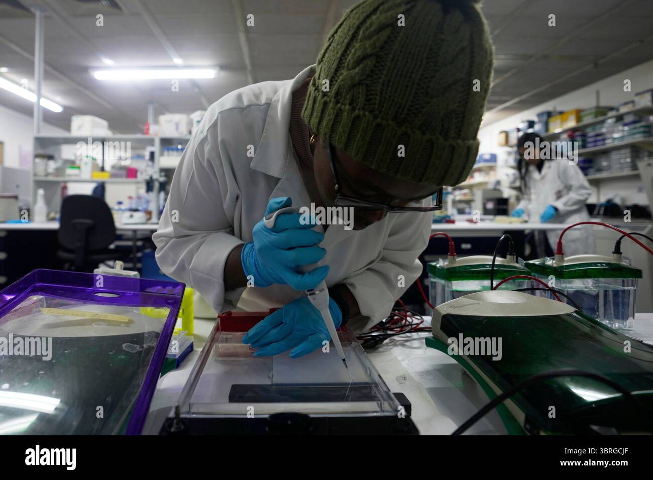 A laboratory technician Nozipho Mlotshwa works on samples at the Wits ...