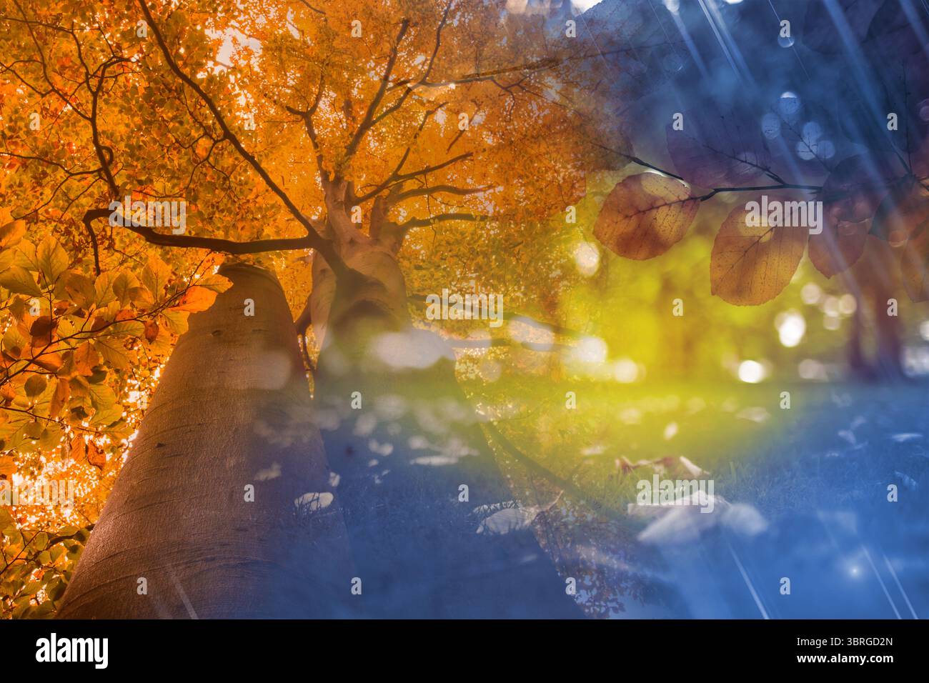 Autumn gatherings hi-res stock photography and images - Alamy