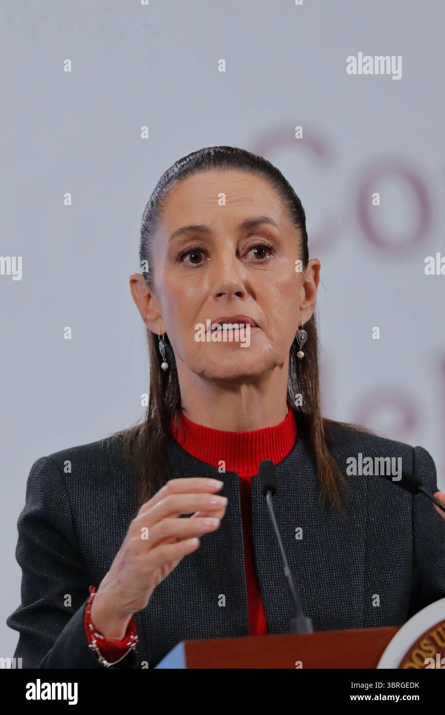 Mexico's President Claudia Sheinbaum Pardo, speaks during a briefing ...