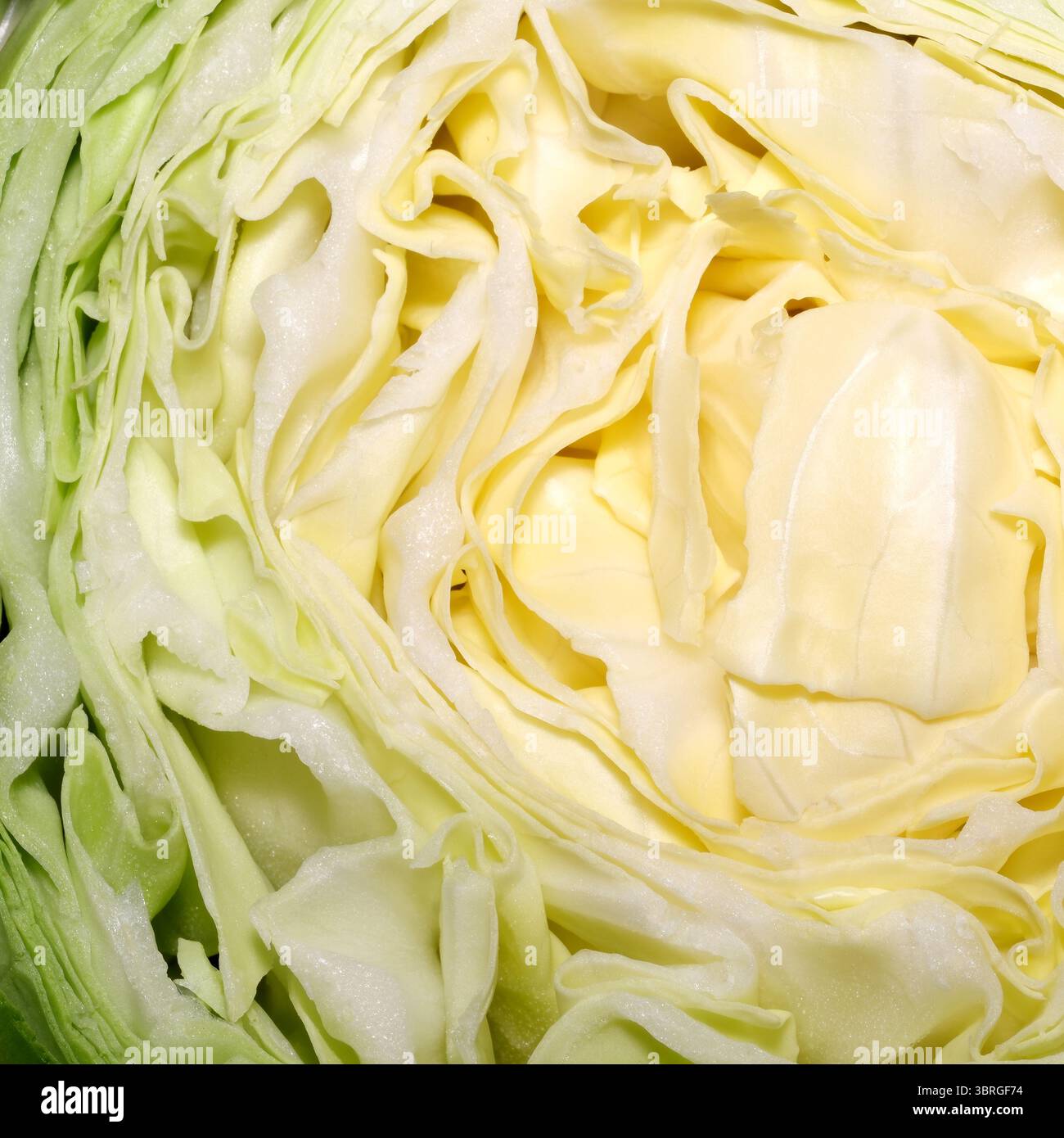 Natures layers hi-res stock photography and images - Alamy