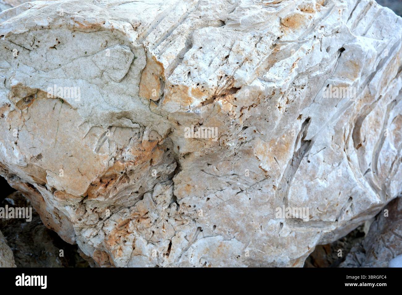 Remarkable natural stone exhibits unusual markings and age-old ...