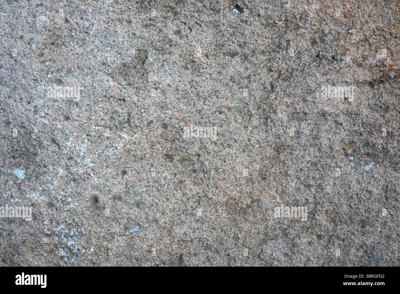 Surface showcases light gray hi-res stock photography and images - Alamy