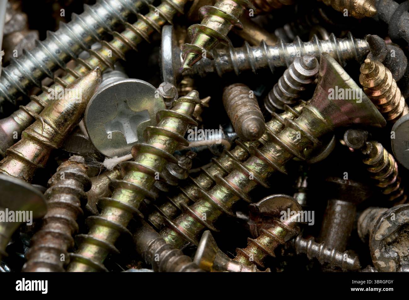 A variety of screws in different sizes and finishes are on a workbench ...