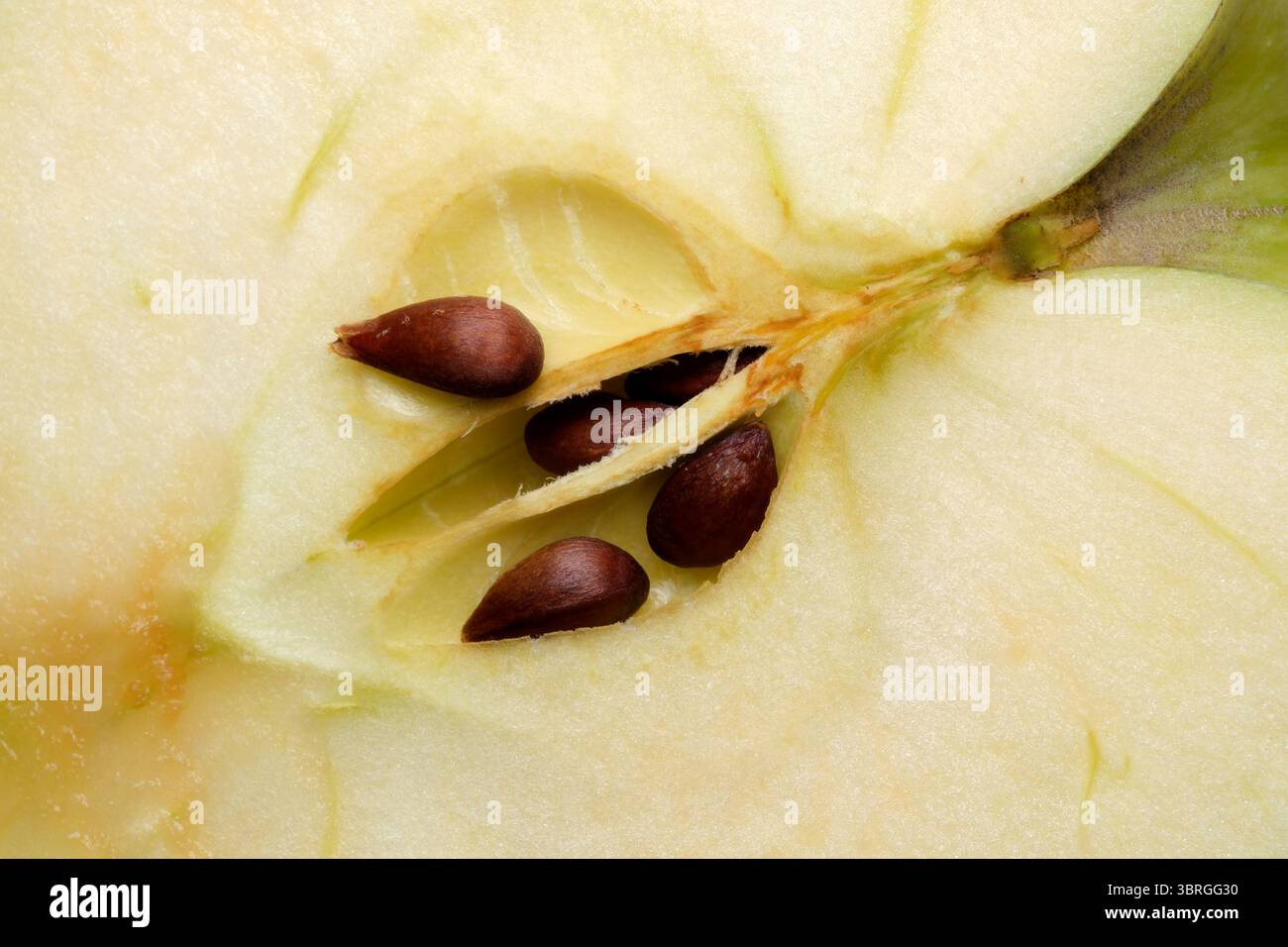A close look at a crisp apple sliced in half, revealing its delicate ...