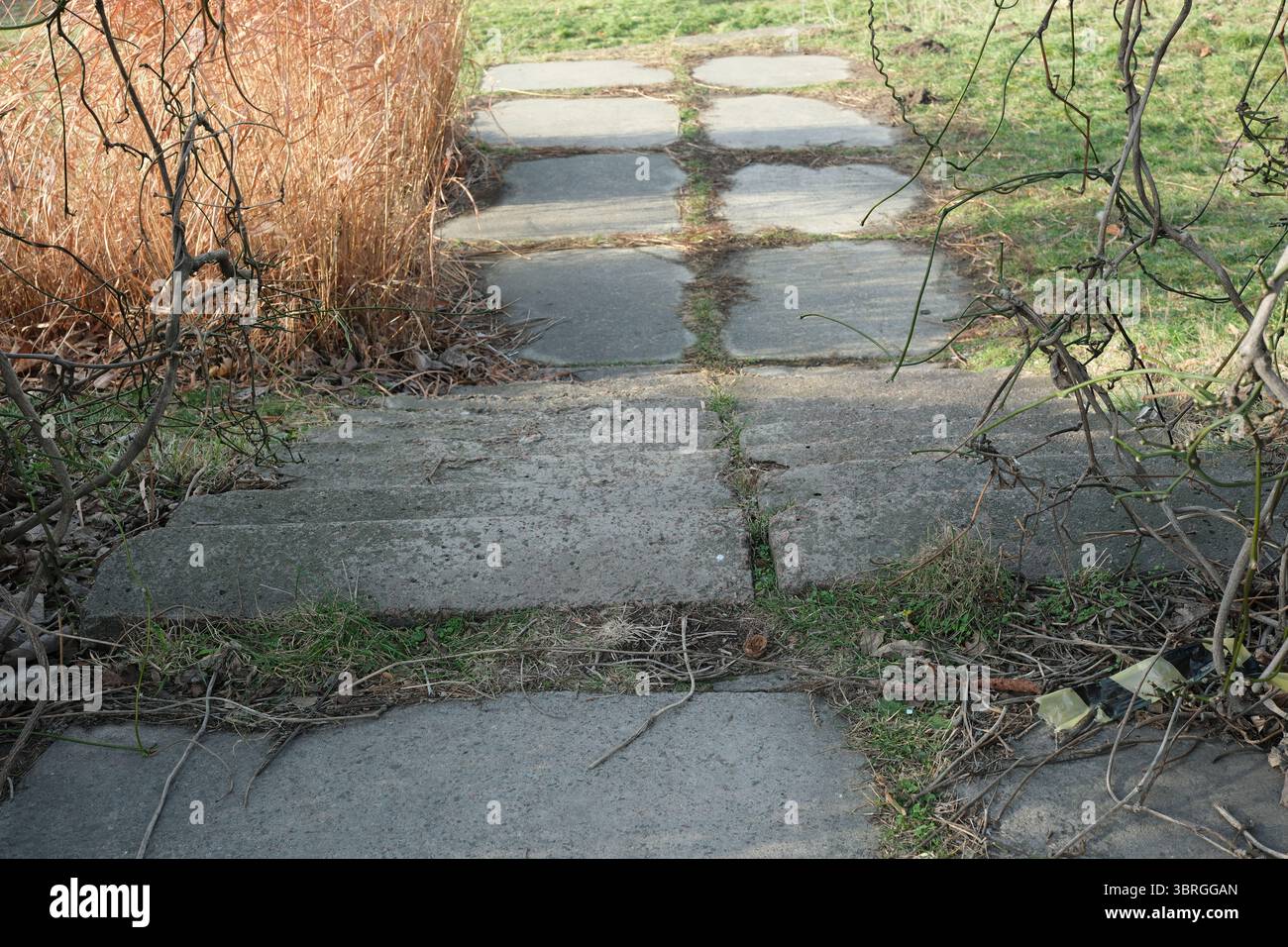 A winding stone pathway leads through lush grass and dry foliage Stock ...