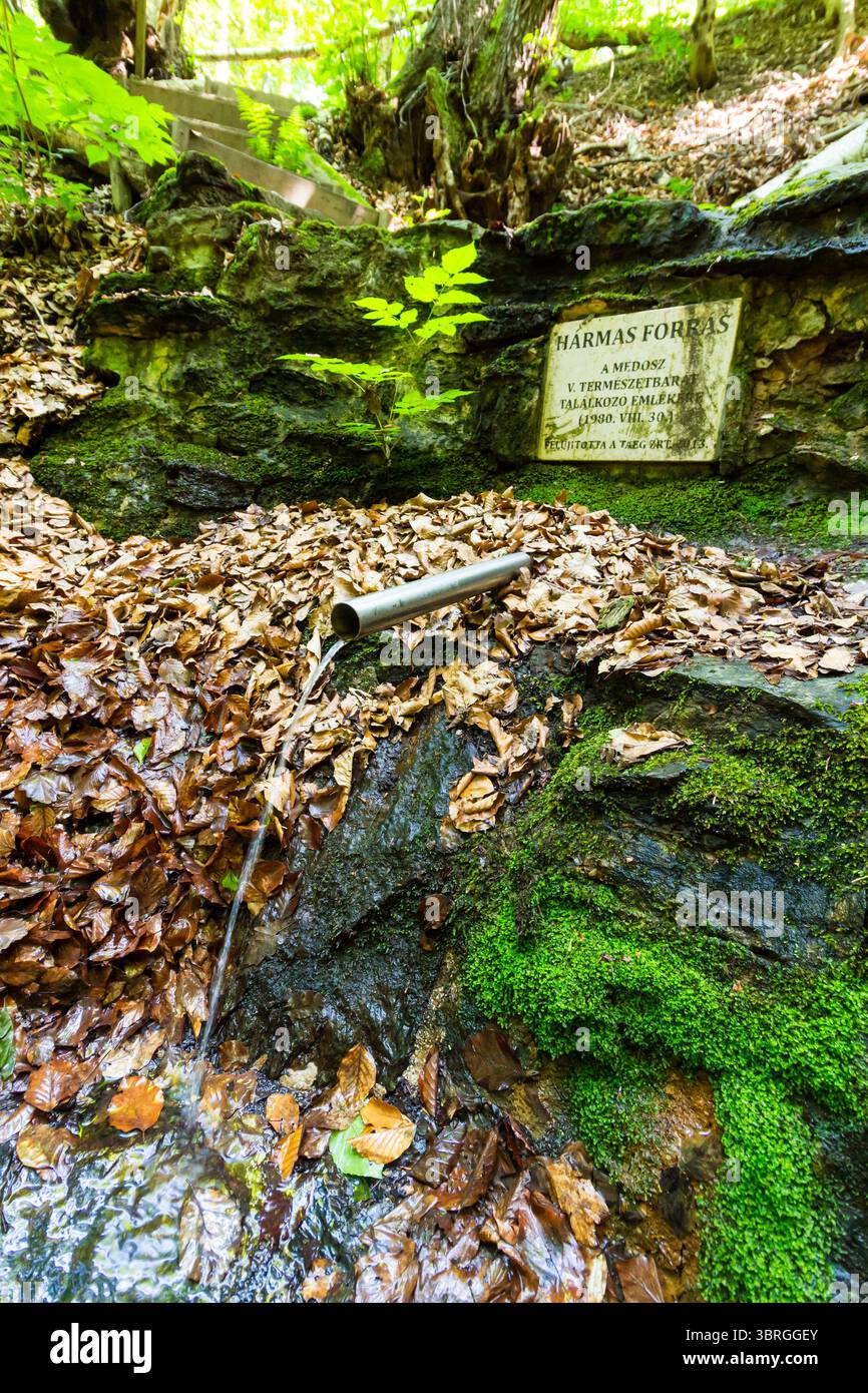 Water spring called 'Harmas forras' is forest, Sopron Mountains, Sopron ...