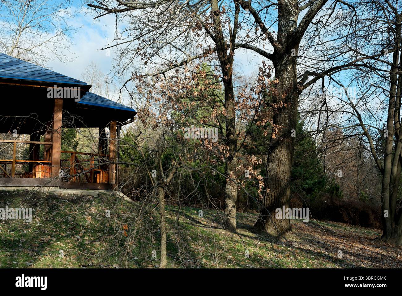 Cozy cabin nestled among trees hi-res stock photography and images - Alamy