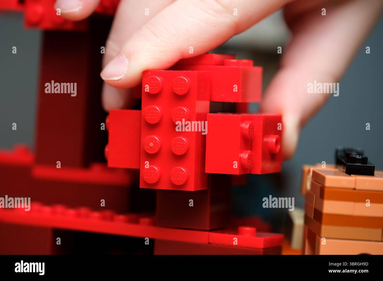 Hands skillfully assemble vibrant construction blocks in playtime ...
