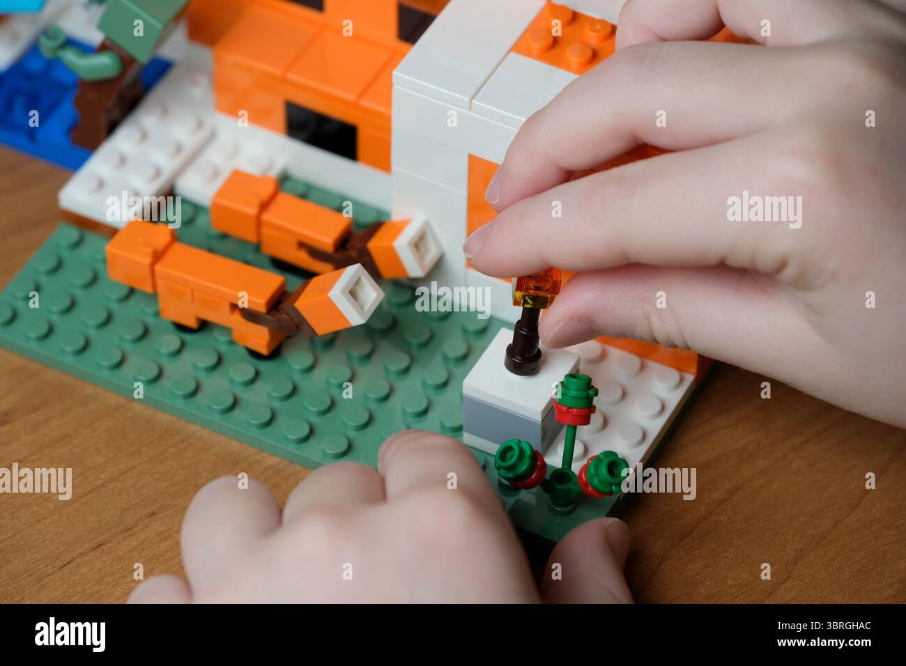 Hands carefully assemble vibrant LEGO pieces to create a playful scene ...