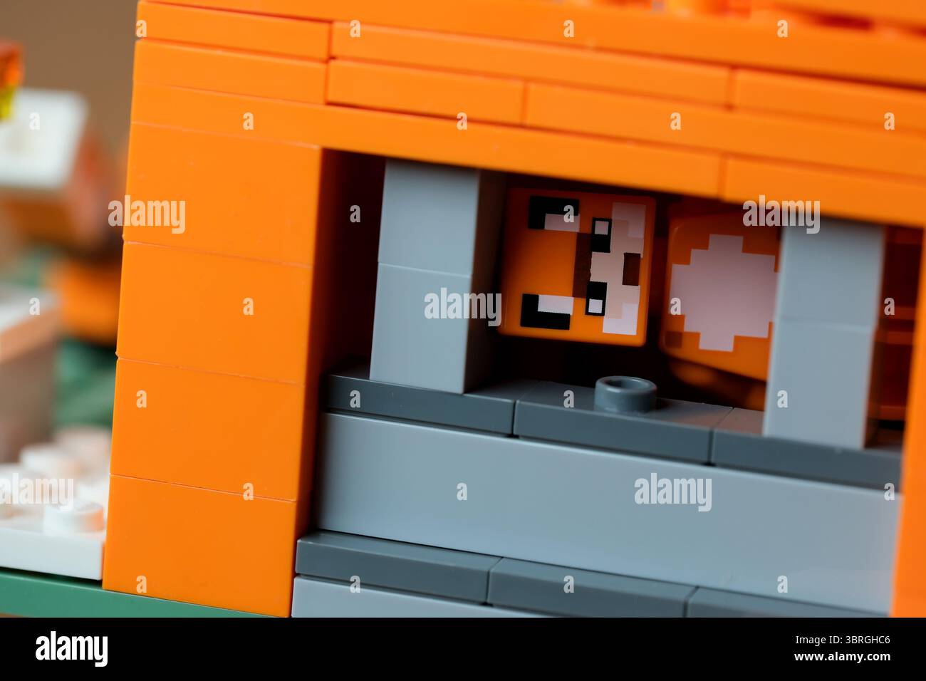 Colorful bricks form an imaginative design featuring whimsical elements ...