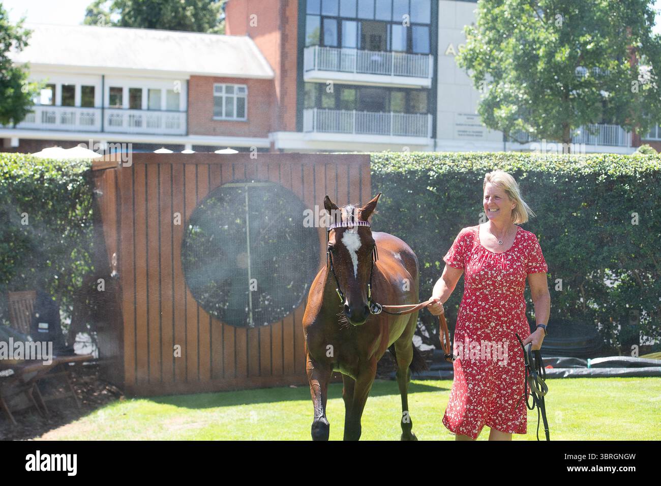 Ascot, Berkshire, UK. 12th July, 2025. A pony is walked past the cooling fans at Ascot after ...