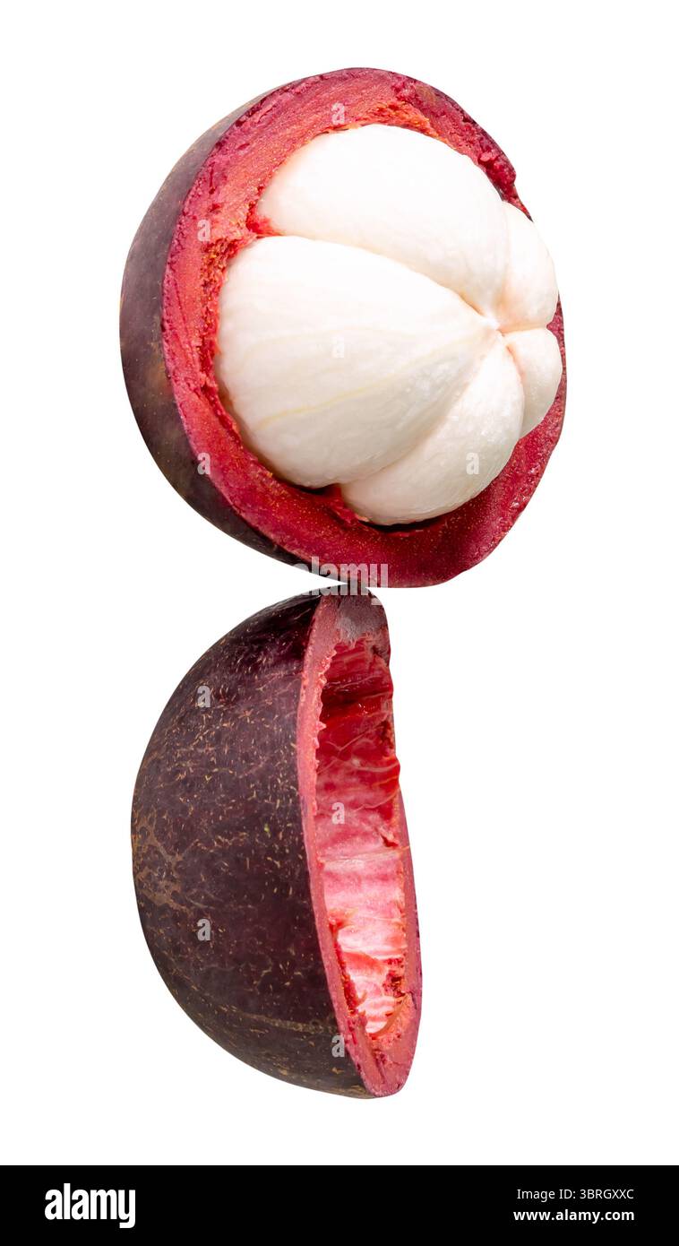 One ripe peeled mangosteen is isolated on white background with ...