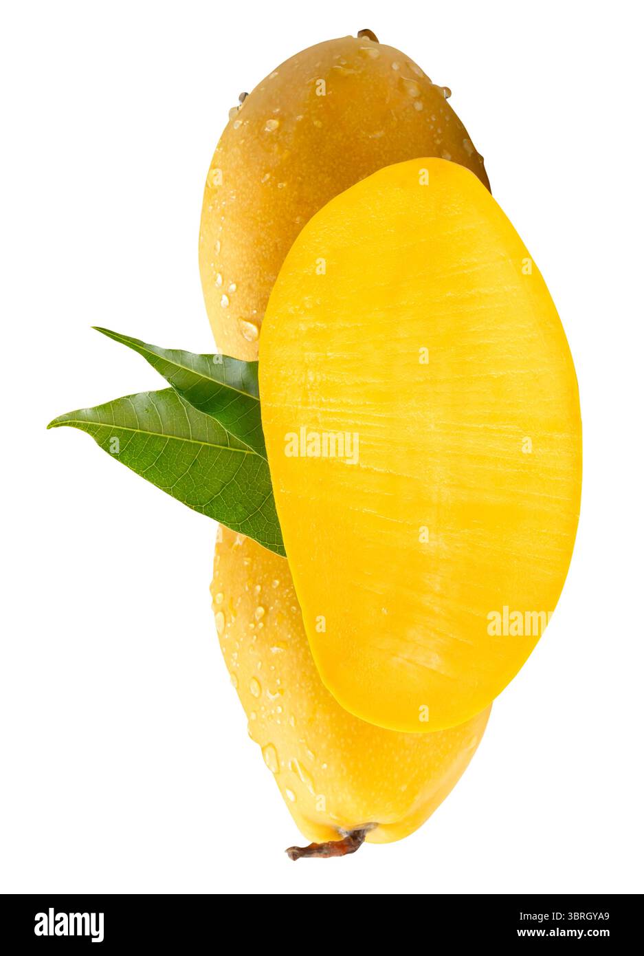 Two ripe yellow mangoes and half with green leaves and water droplets ...