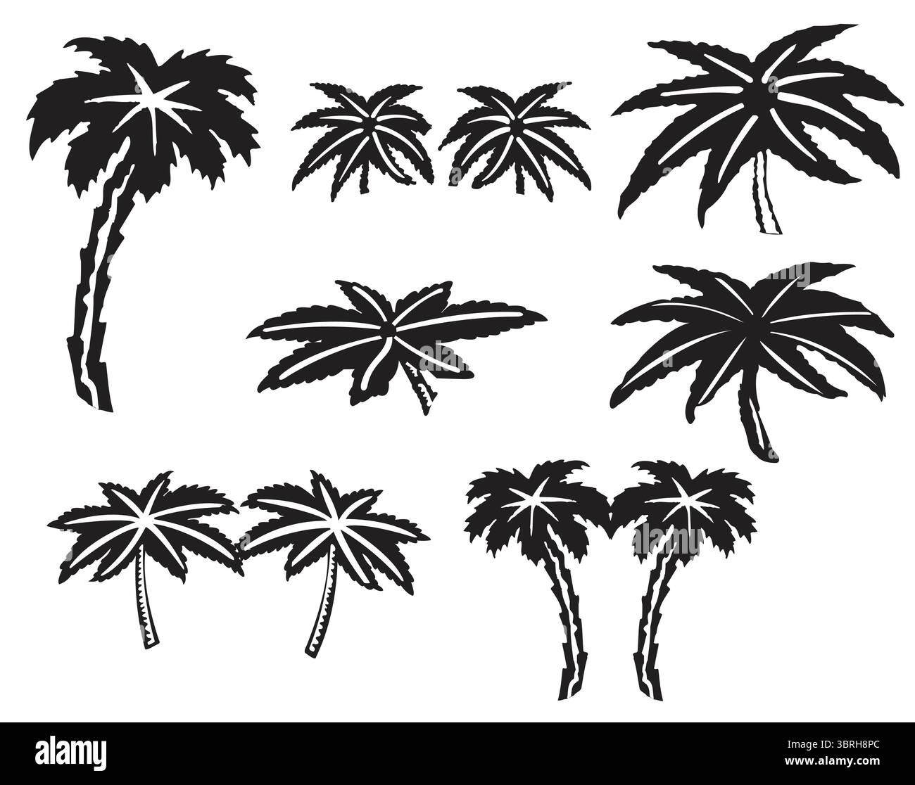 Coconut background view Stock Vector Images - Alamy