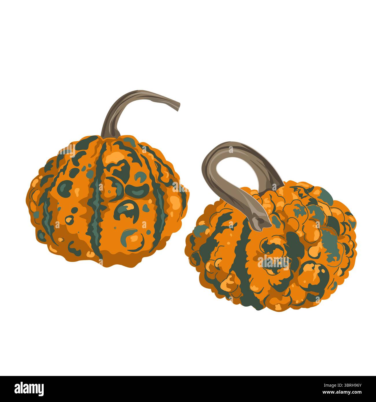 Funny small decorative pimpled pumpkin composition isolated on white ...