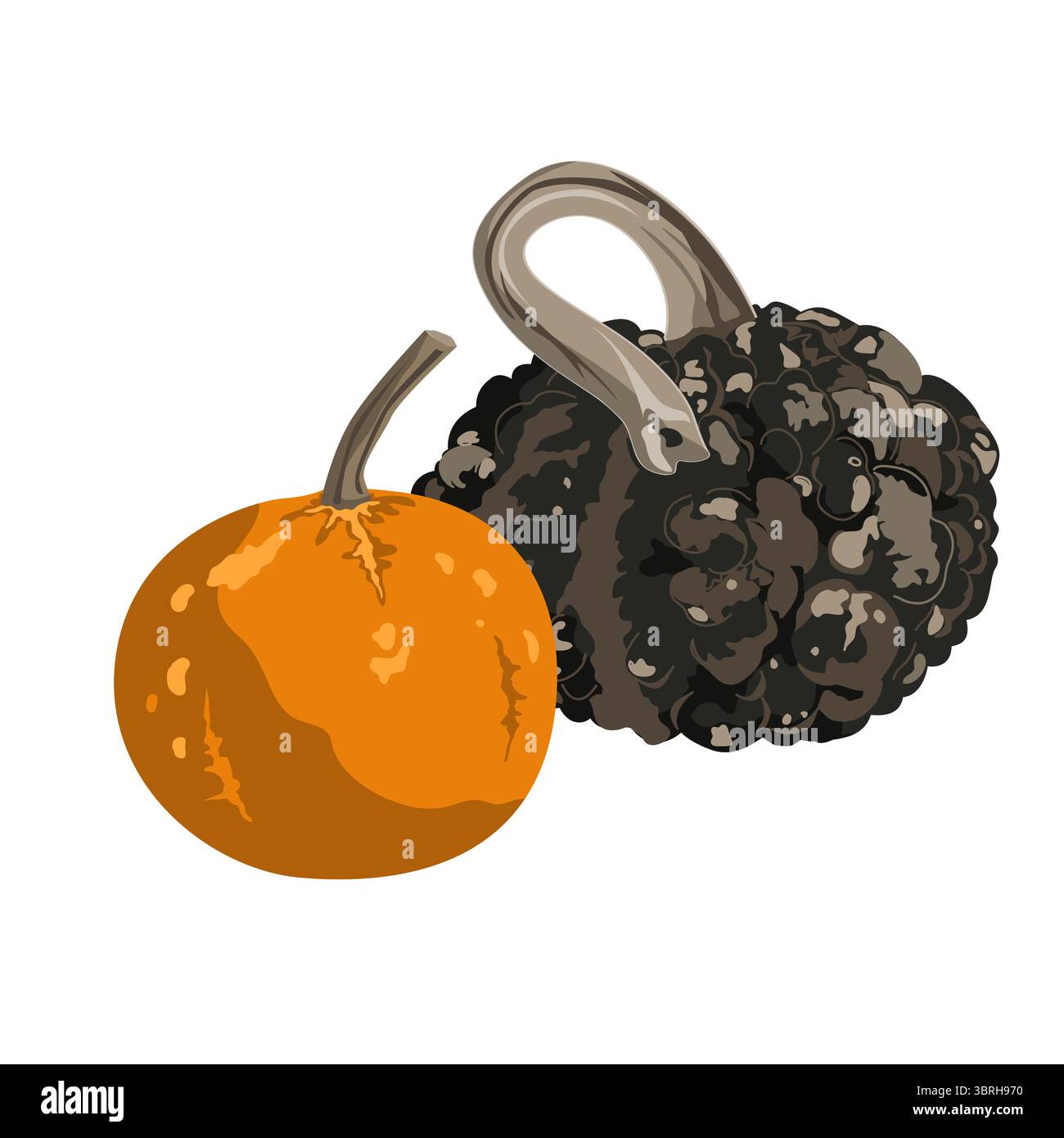 Funny small decorative pimpled pumpkin composition isolated on white ...