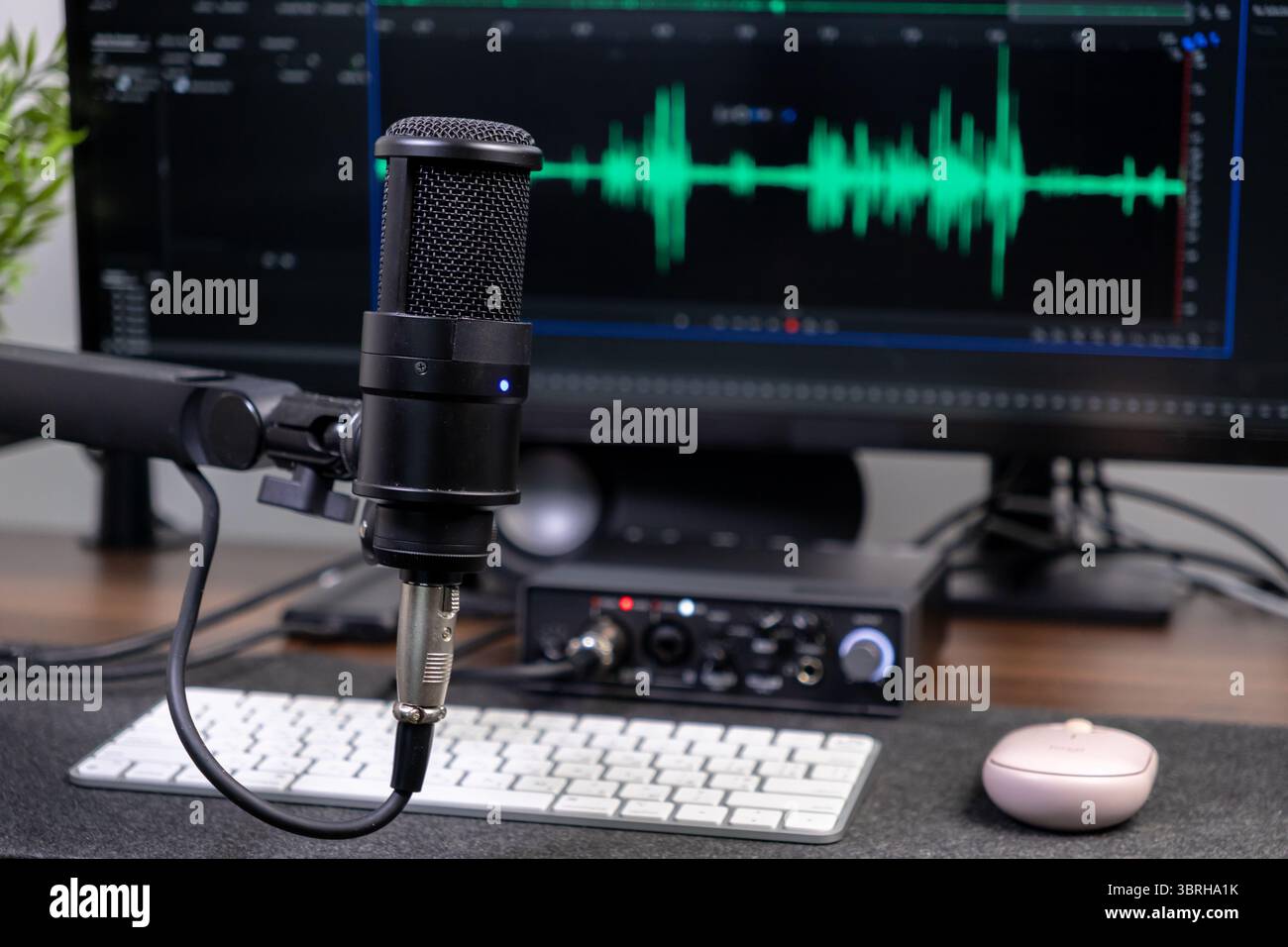 Professional audio recording setup featuring a condenser microphone ...
