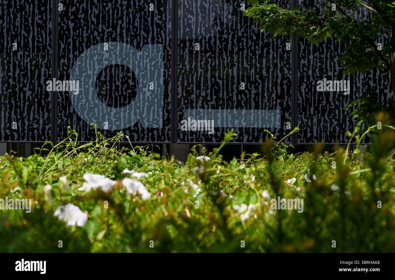 09 July 2025, Berlin: Axel Springer's corporate design for publishing ...