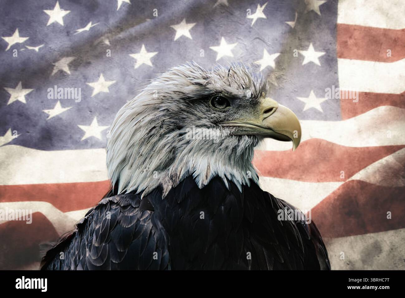 american flag with eagle bird Stock Photo - Alamy