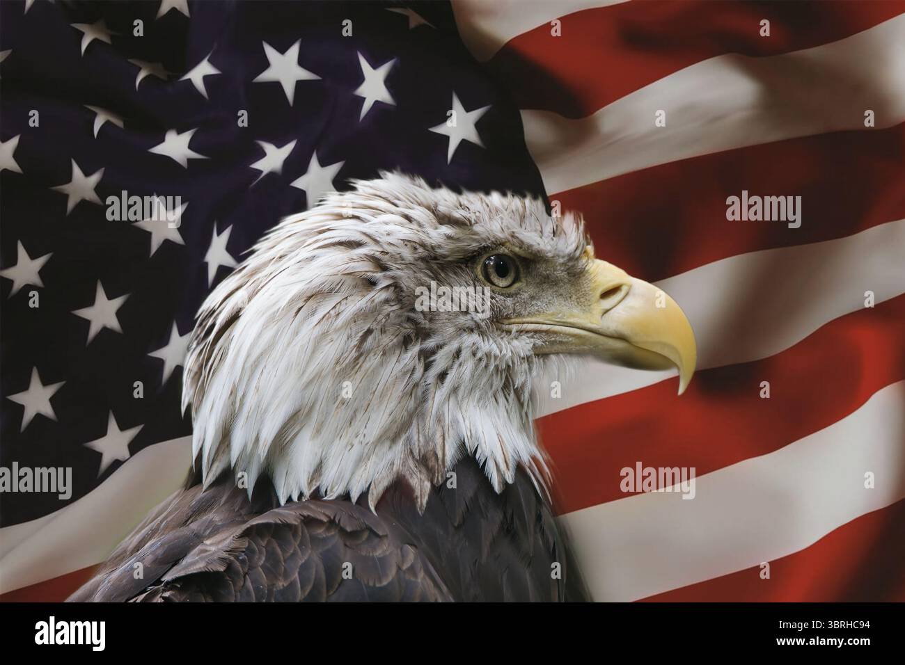 american flag with eagle bird Stock Photo - Alamy