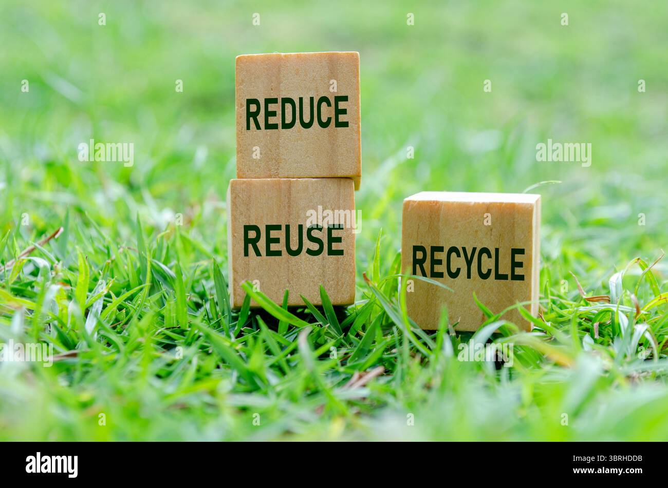 Wooden cubes labeled REDUCE, REUSE and RECYCLE on grass. Promoting ...