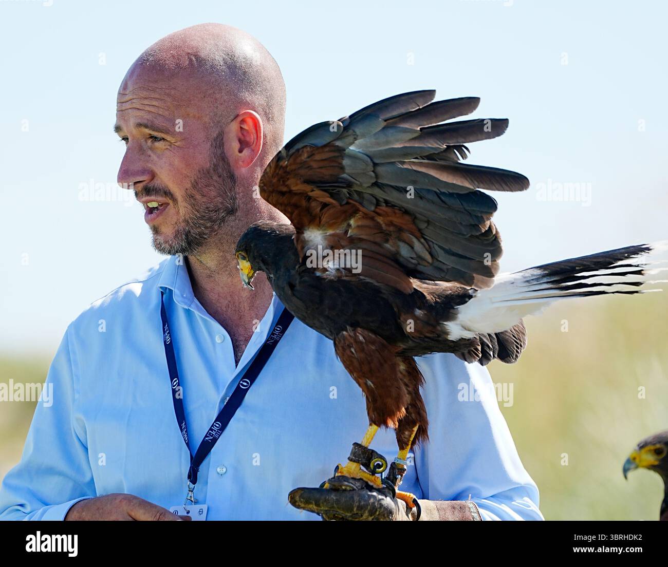 A man holds a falcon used to kill rodents during the first preview day ...