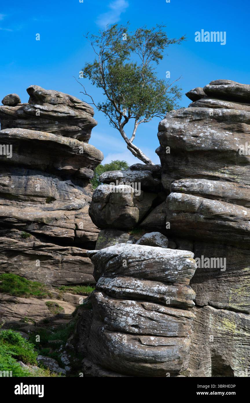 The Brimham rock formations, located near Harrogate, North Yorkshire ...