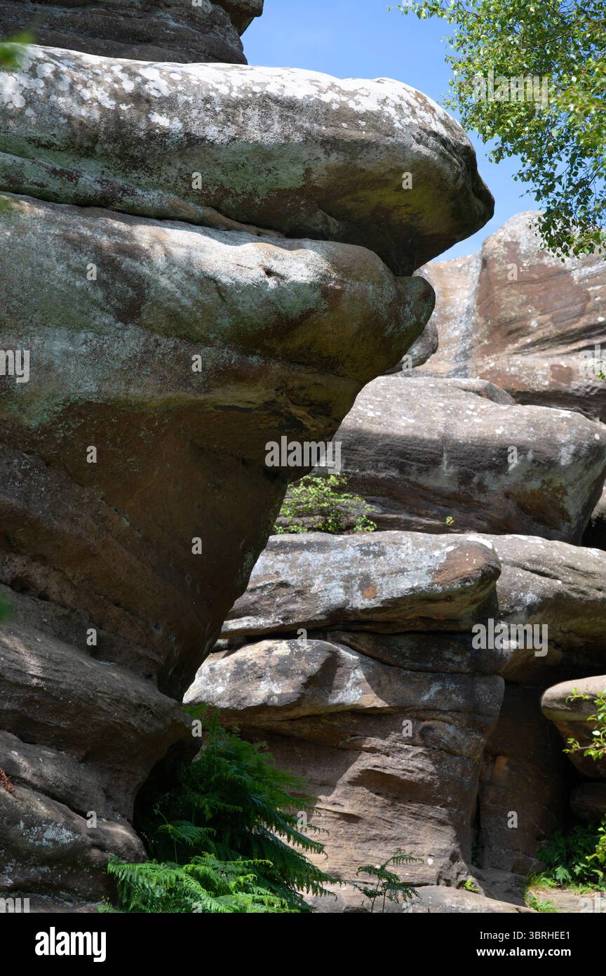 The Brimham rock formations, located near Harrogate, North Yorkshire ...