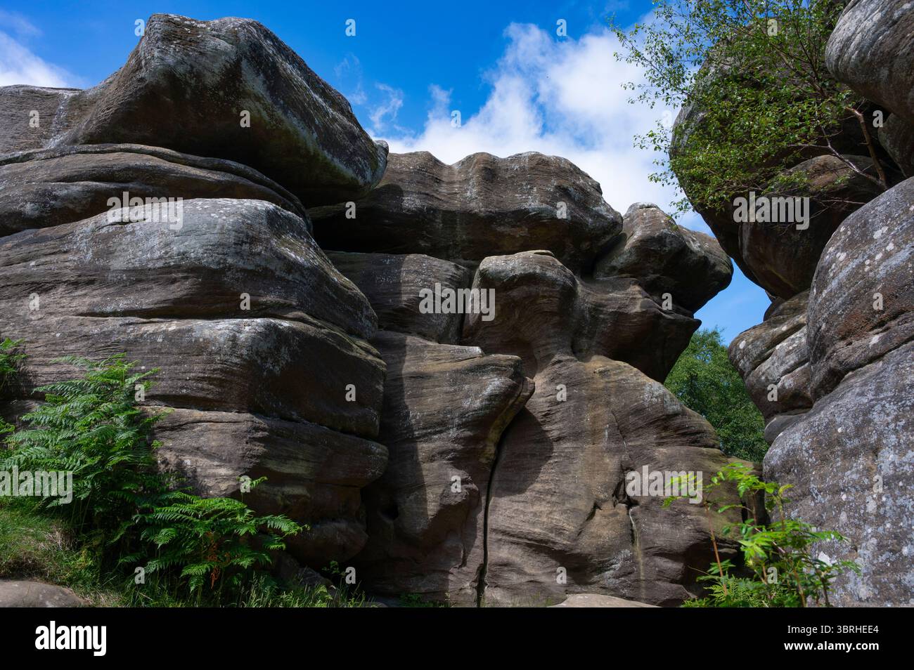 The Brimham rock formations, located near Harrogate, North Yorkshire ...