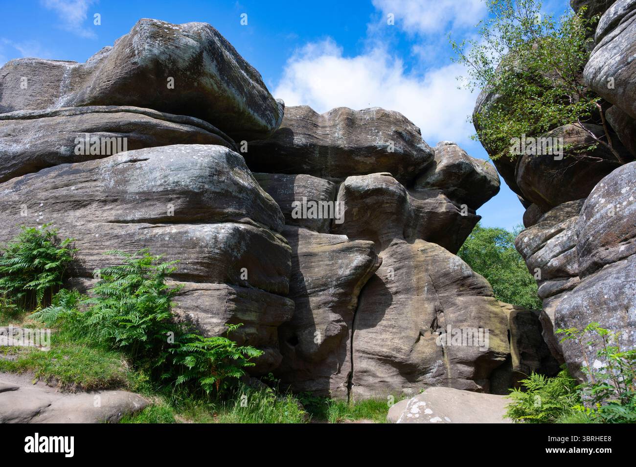 The Brimham rock formations, located near Harrogate, North Yorkshire ...