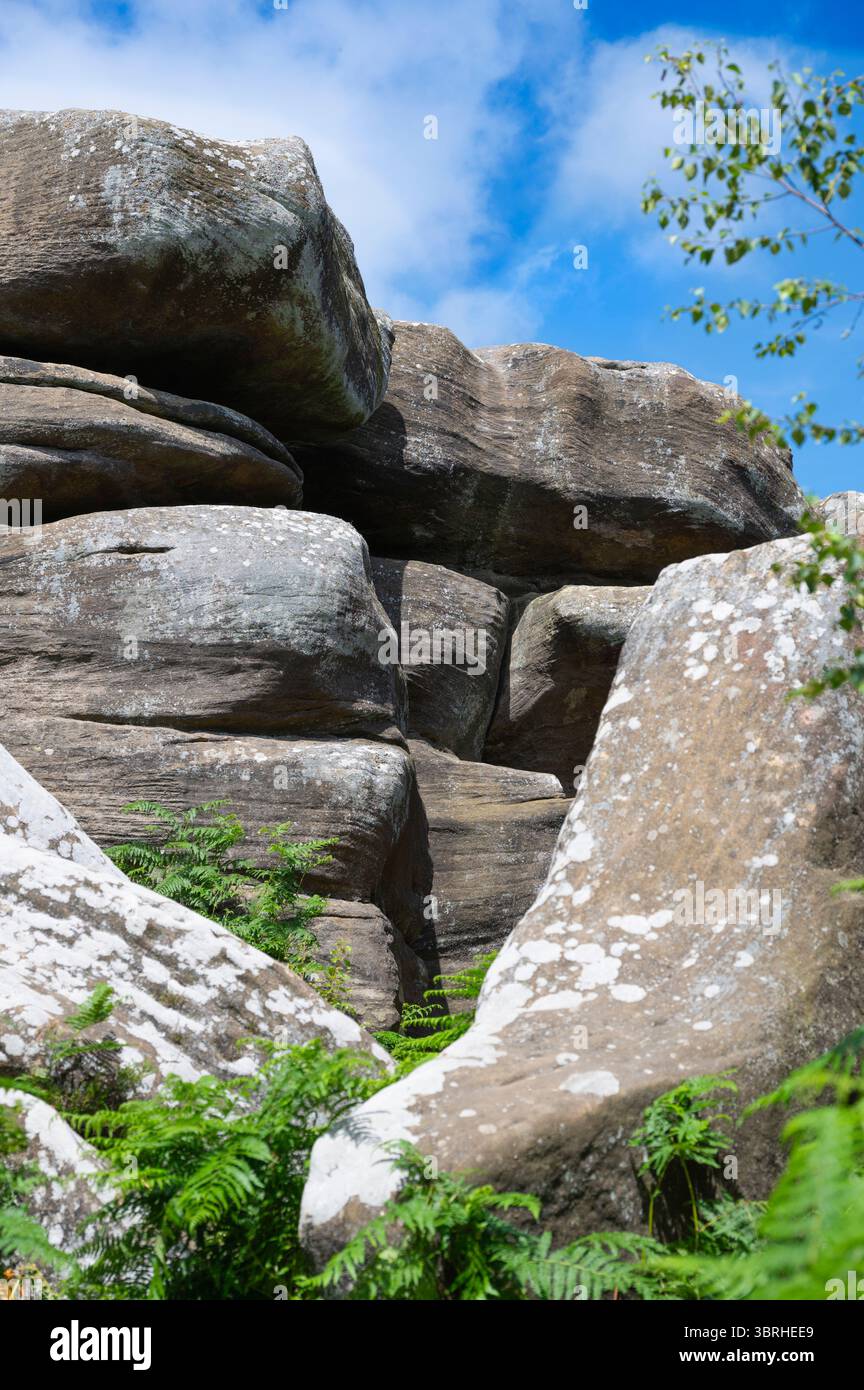 The Brimham rock formations, located near Harrogate, North Yorkshire ...