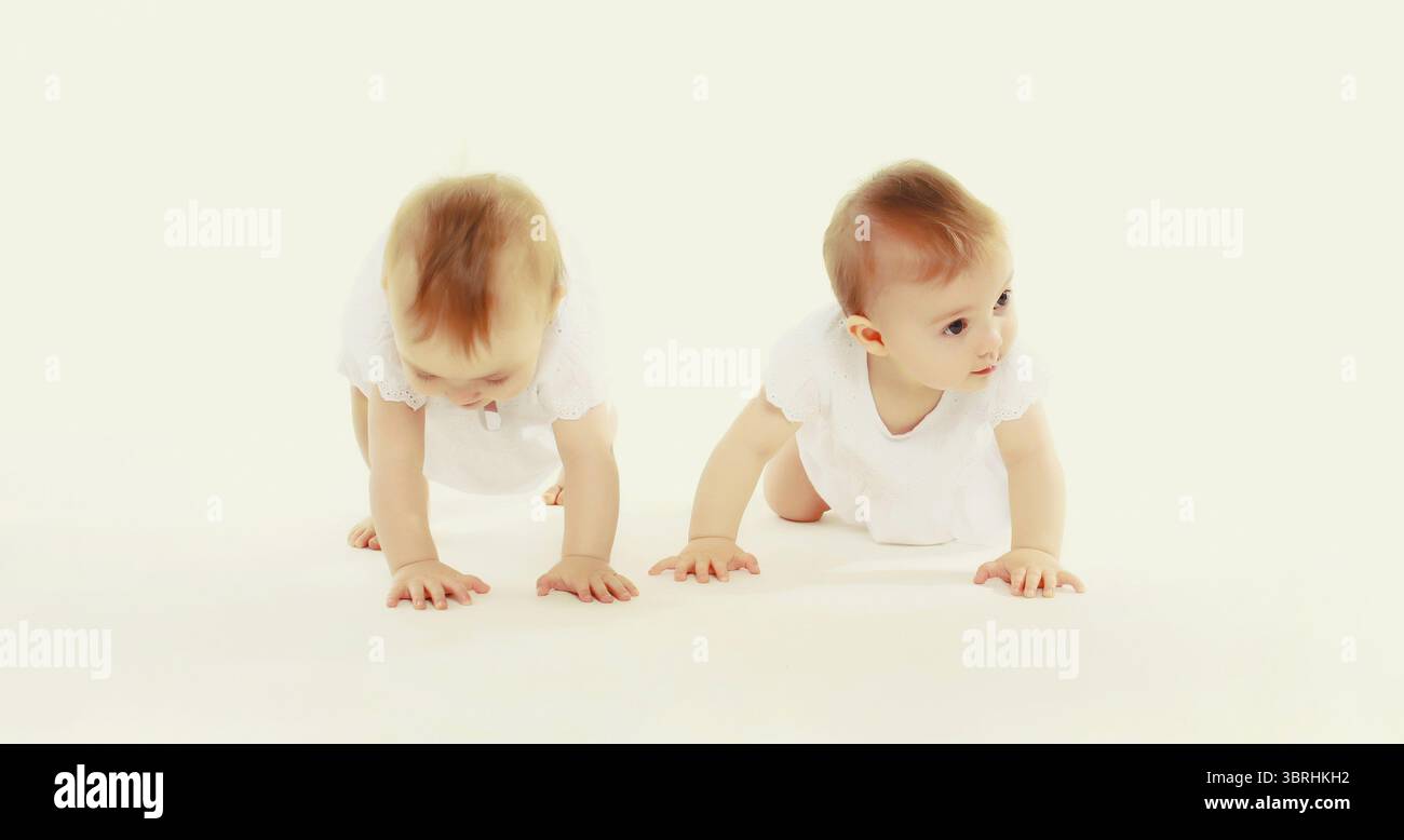Happy cute two twin babies crawling and playing on the floor on white ...