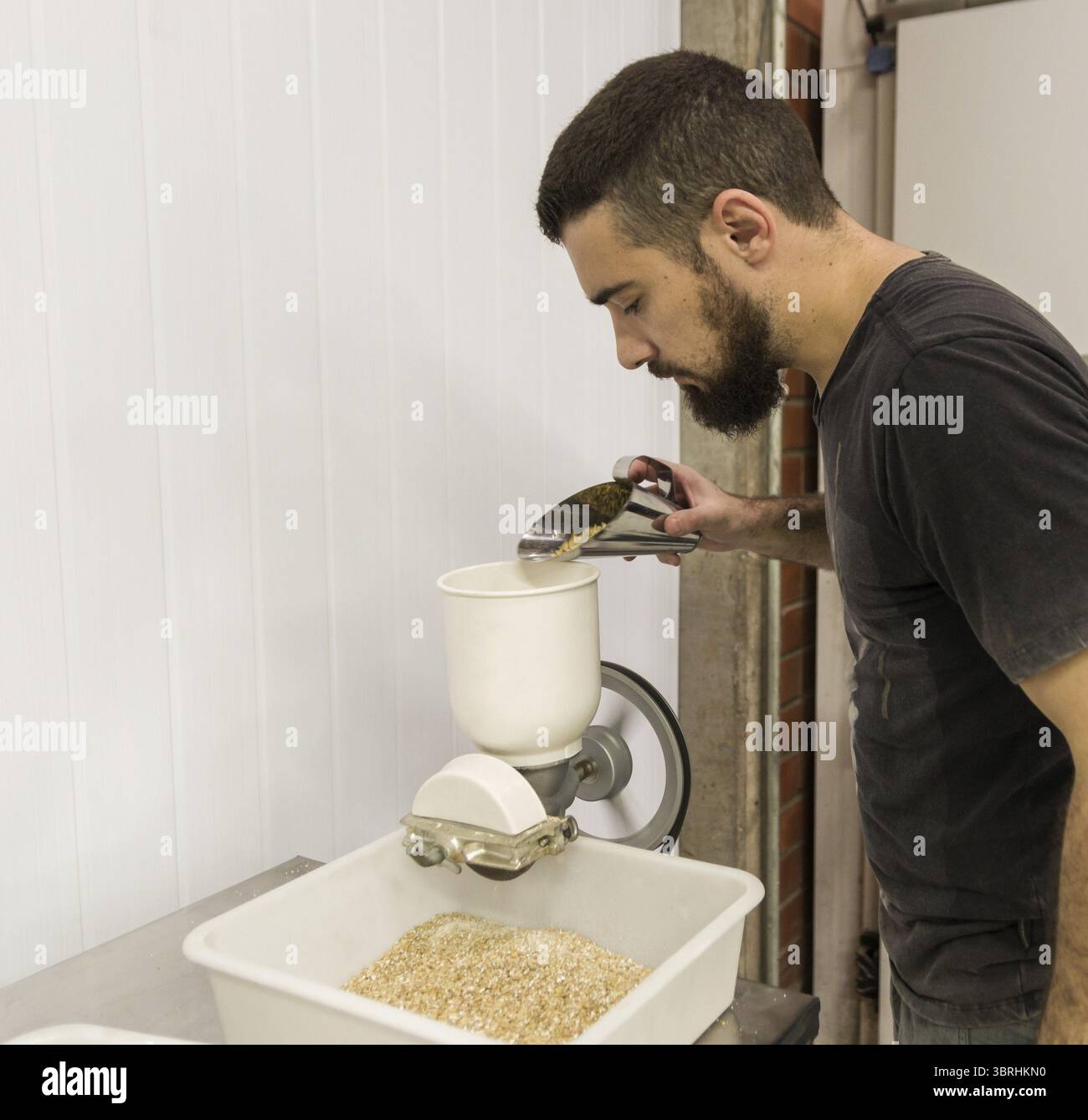 Malt production process hi-res stock photography and images - Alamy