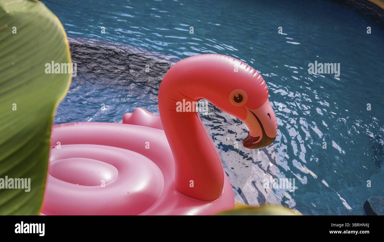 Summer vacation fun funny Pink Flamingo float in a swimming pool trendy ...
