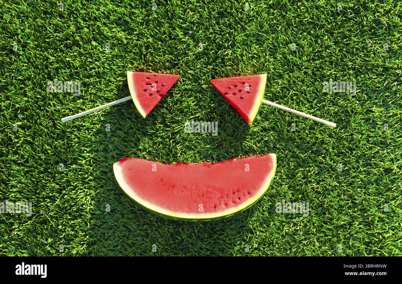 Summer fresh image of lollipop or ice cream shaped slice of watermelon ...