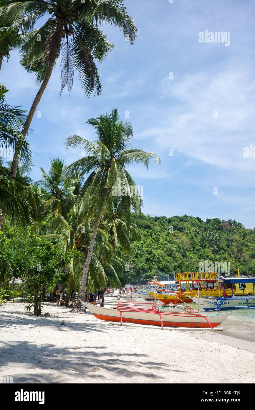 Colorful traditional Filipino boats and coconut trees on a busy beach ...