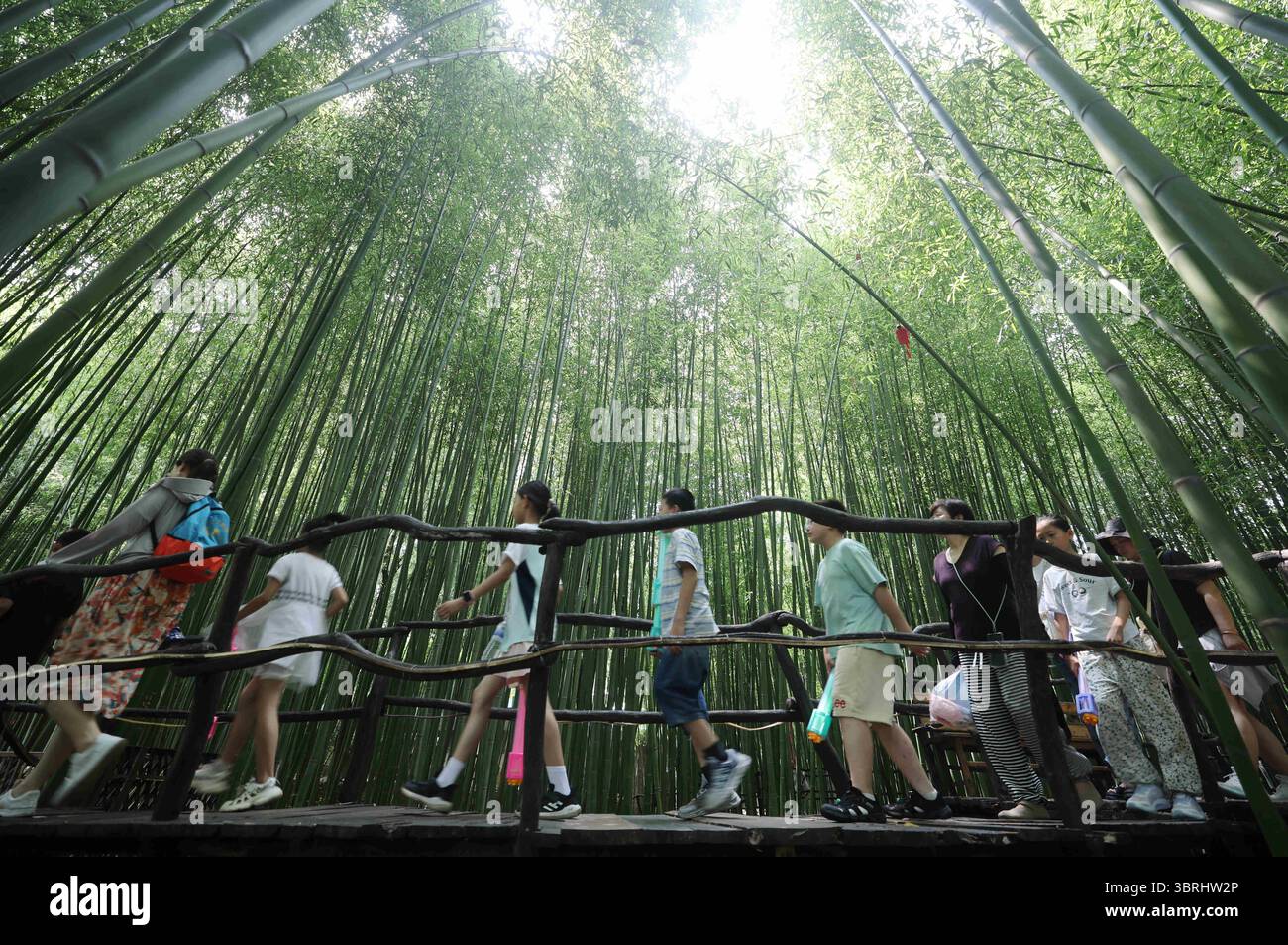 (250713) -- BEIJING, July 13, 2025 (Xinhua) -- People visit a bamboo ...