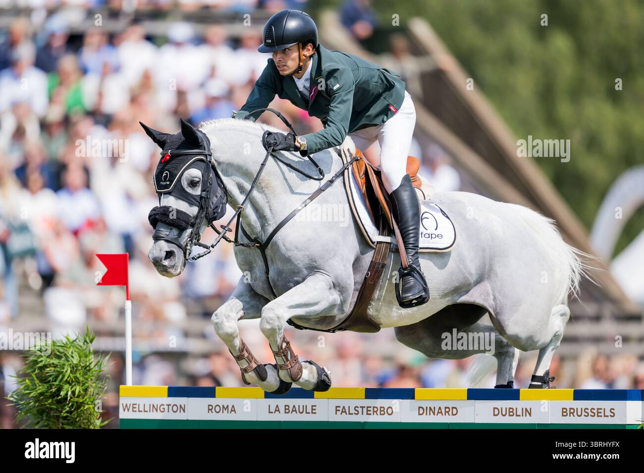 250713 Luiz Felipe Neto de Azevedo of Brazil with horse Pandora Boy Z ...